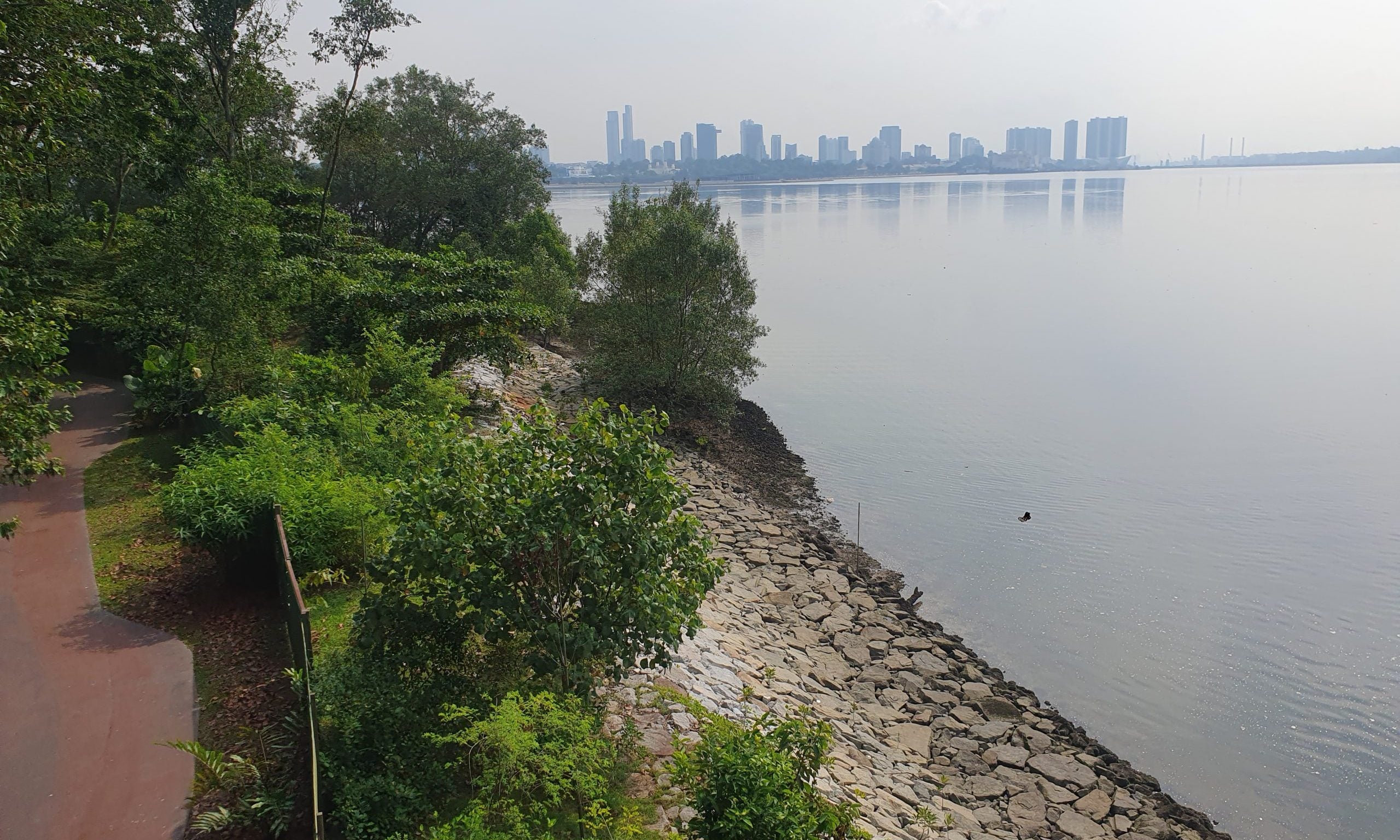 Adaptation: Understanding the Opportunities and Constraints of Green ...