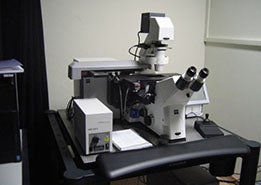 Life Sciences Institute, National University of Singapore