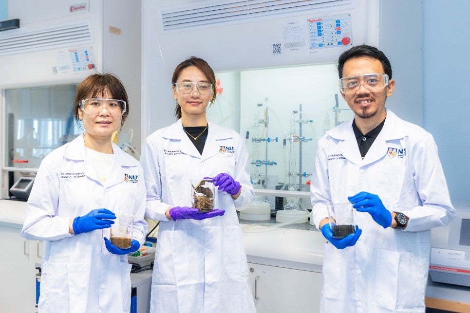 NUS Environmental Research Institute