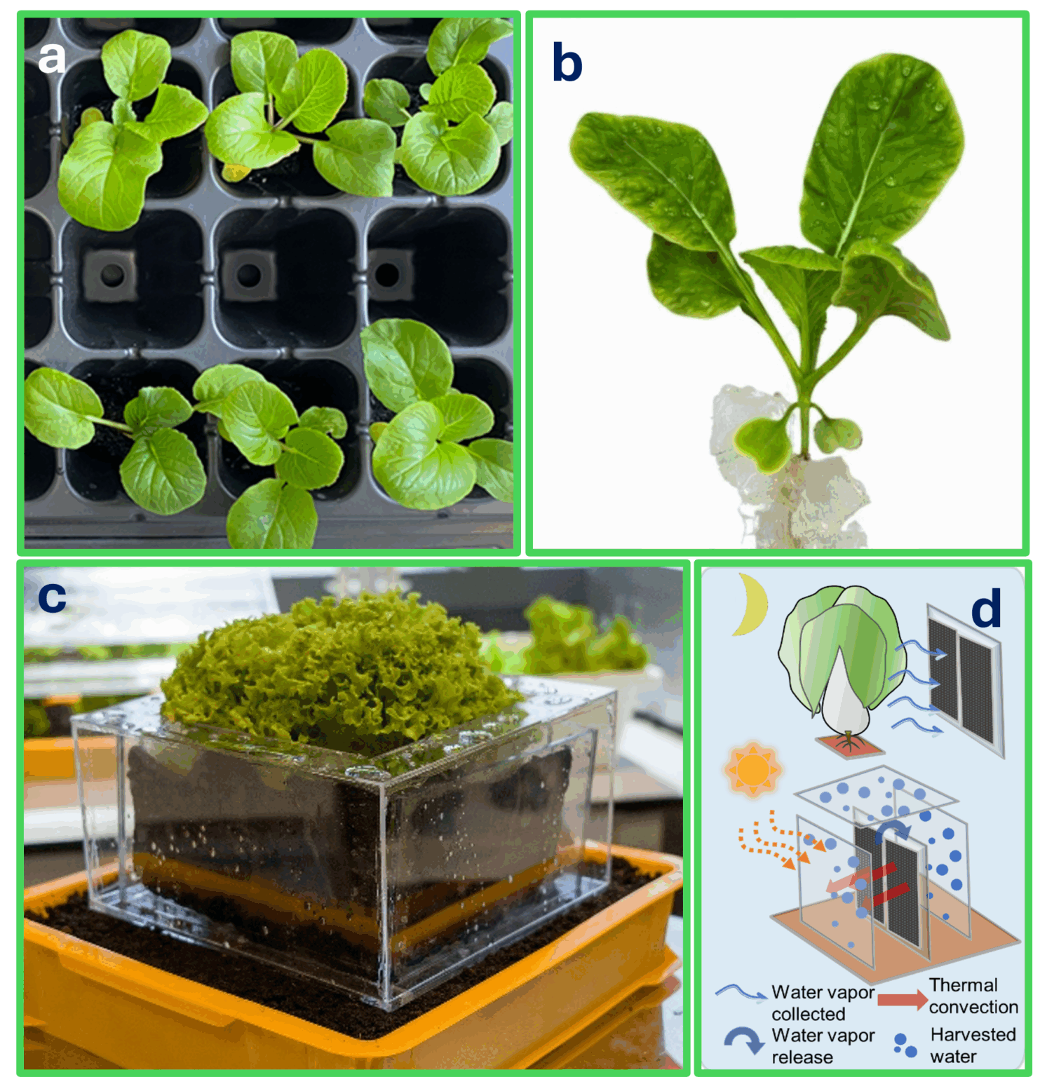 NUS Environmental Research Institute