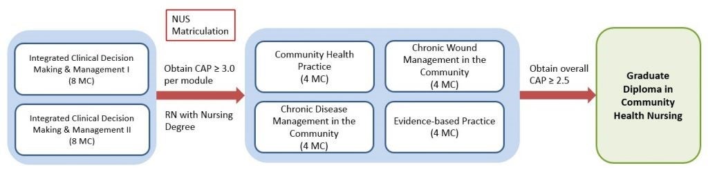 Graduate Diploma in Community Health Nursing (CHN) - NUS Bulletin AY2022/23
