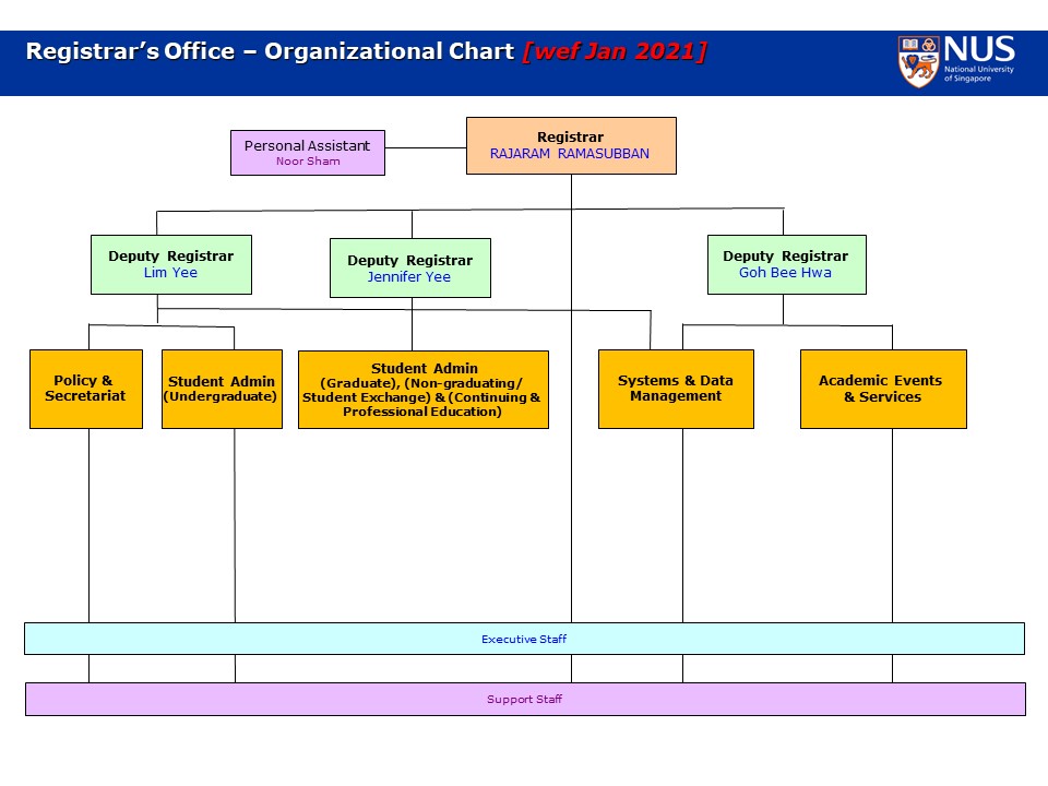 Organization Chart